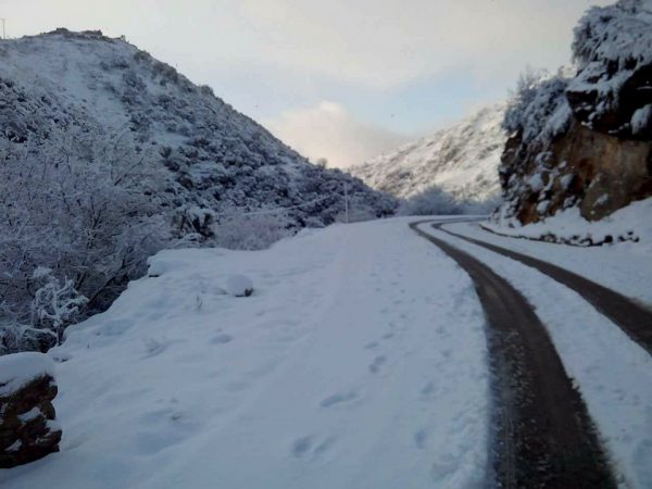 Tiaret : les chutes de neige entravent la circulation routière